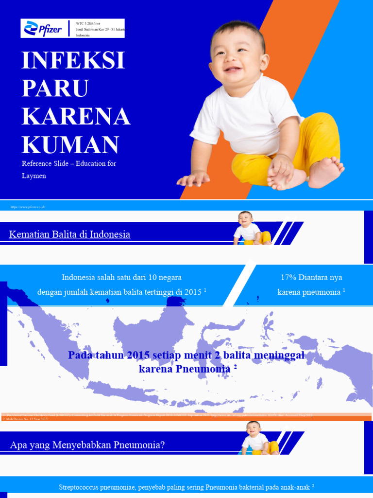 Laymen PP-PRV-IDN-0249-NOV-2022 Pneumonia Laymen Education Presentation (Redesigned, Updated) | PDF