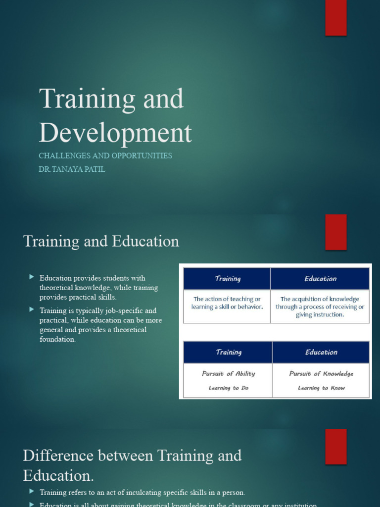 Training and Development Insights | PDF | Employment | Behavior ...