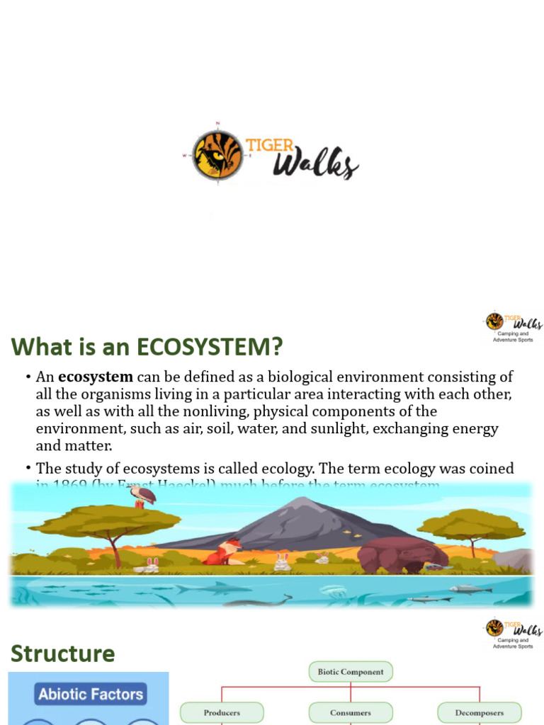 Unit 2 - Ecosystem | PDF | Food Web | Ecosystem