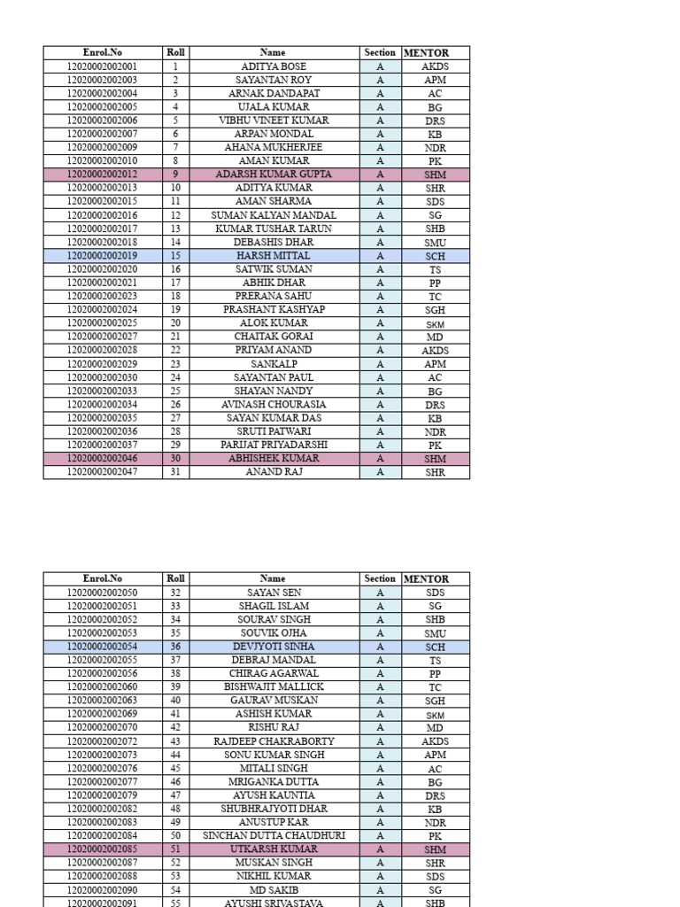 2nd Year Mentoring List | PDF
