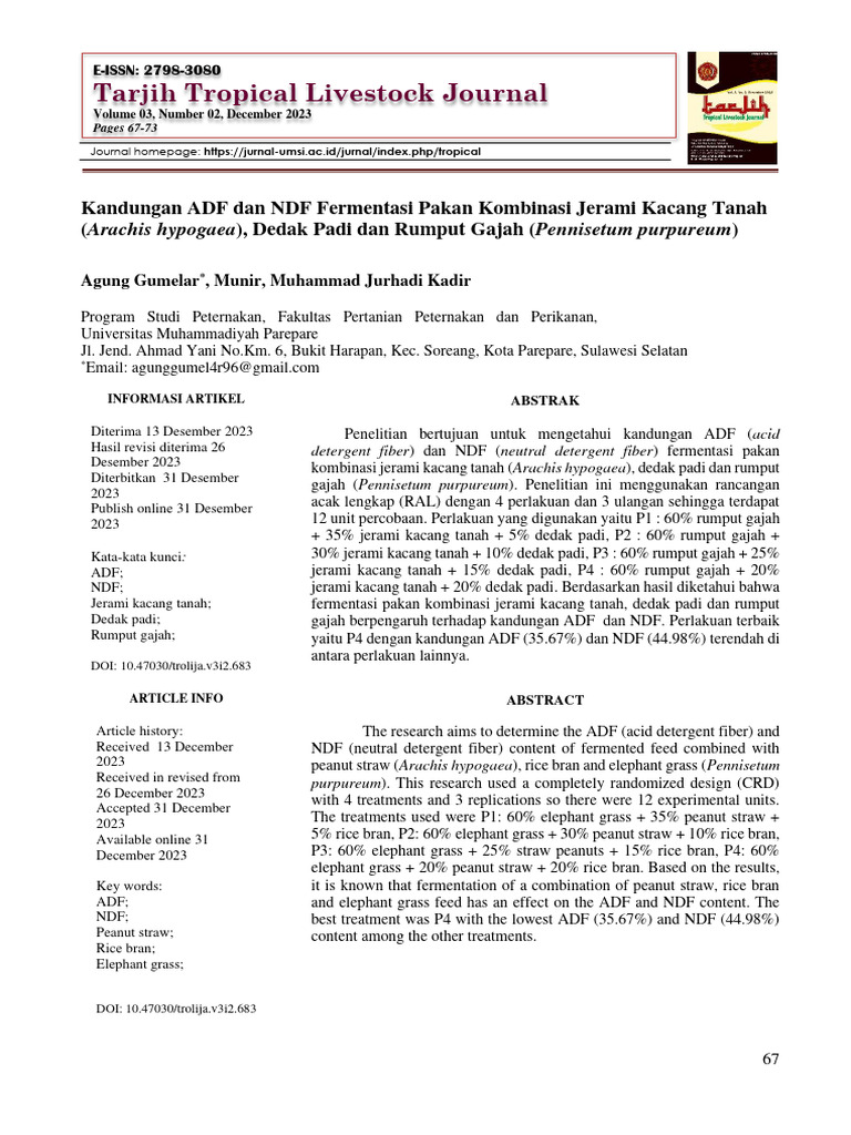 Kandungan ADF Dan NDF Fermentasi Pakan Kombinasi J | PDF