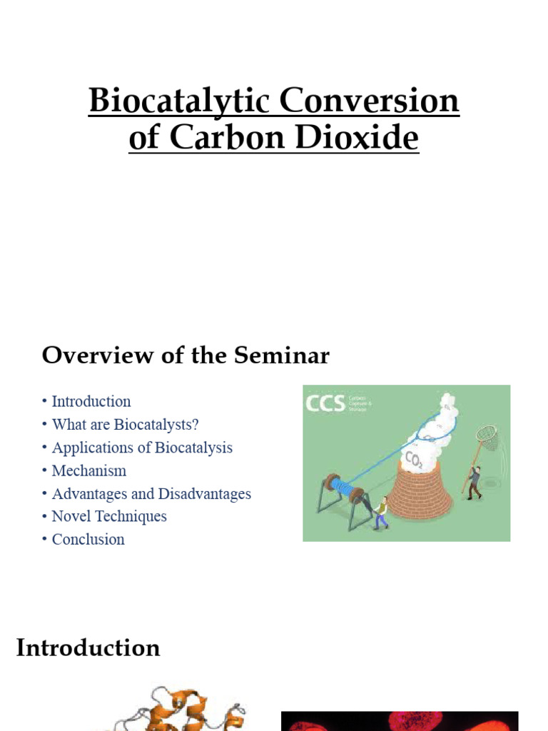 Biocatalytic Conversion of CO2 | PDF | Photosynthesis | Enzyme