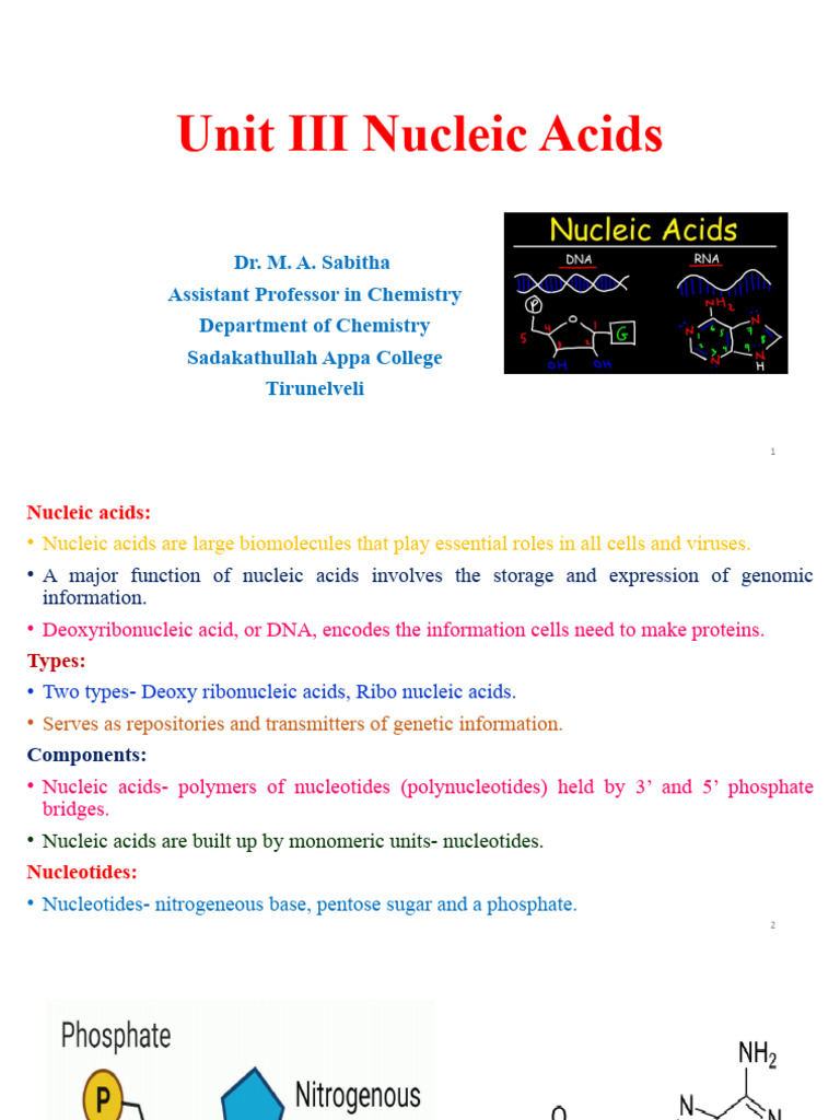 Unit III Nucleic Acids | PDF | Rna | Nucleotides