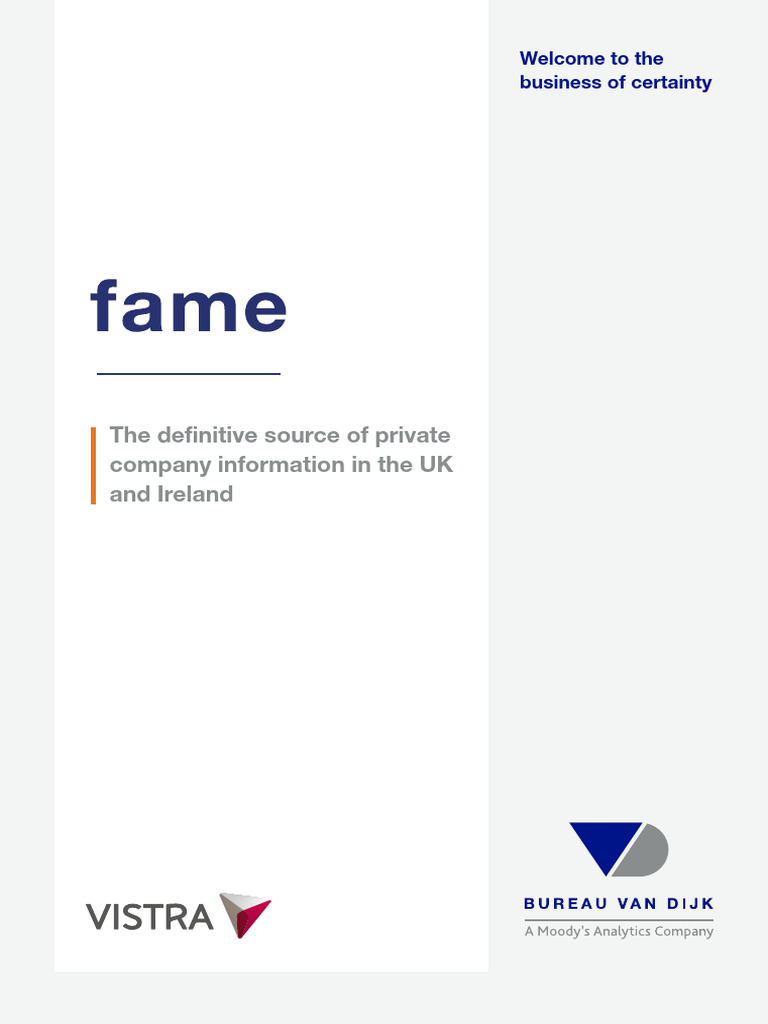 Fame | PDF | Customer Relationship Management | Balance Sheet