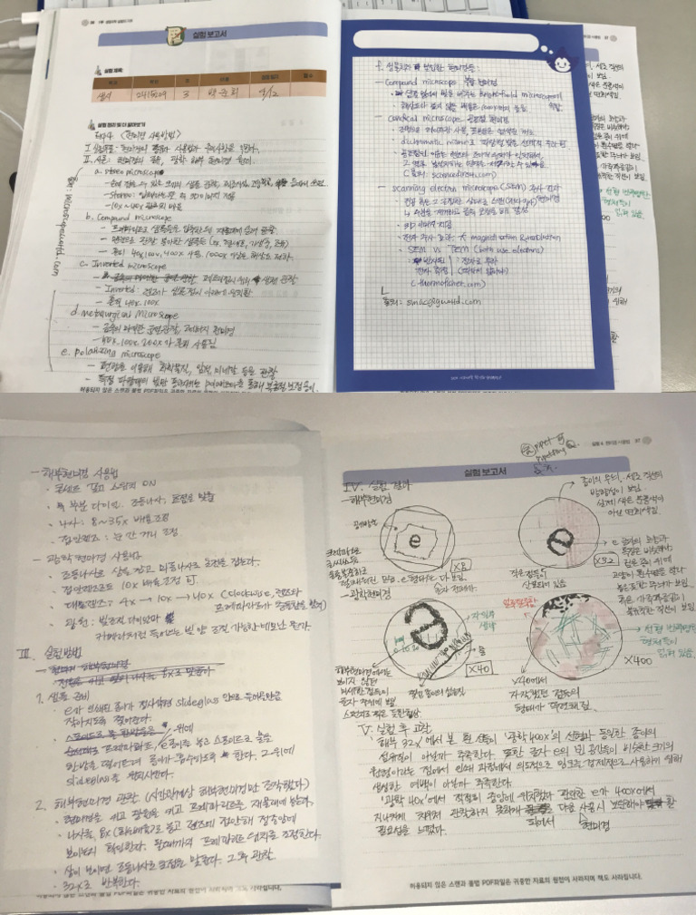2415209백준희 Exp4 | PDF