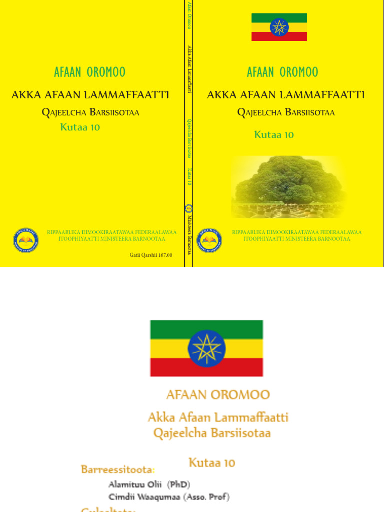 4 1 Afaan Oromo Grade 10 Teachers Guide Final Version Ok | PDF