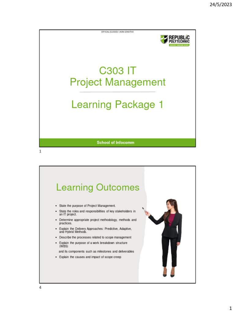 IT Project Management Guide | PDF | Project Management | Business