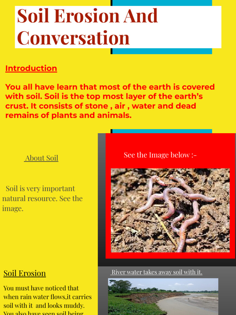 Soil Erosion Class 5 | PDF