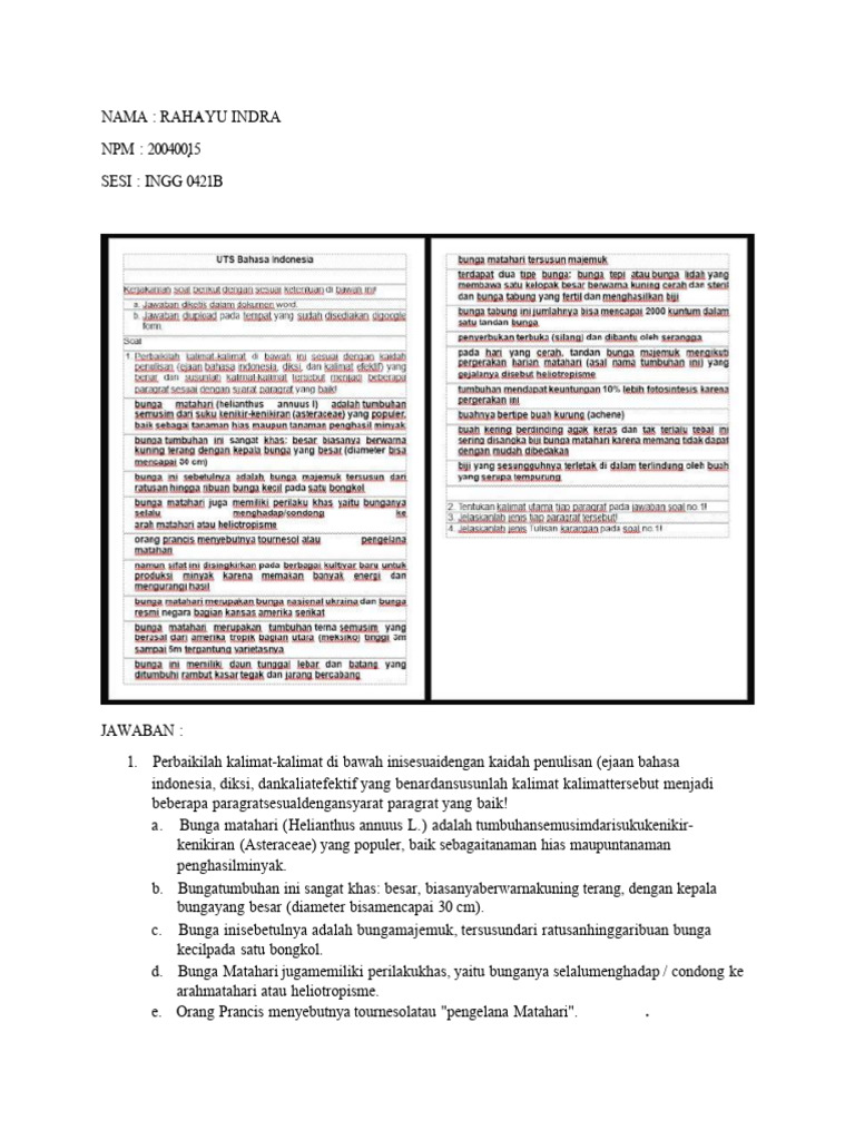 Uts Bindo Rahayu Indra | PDF | Sains & Matematika