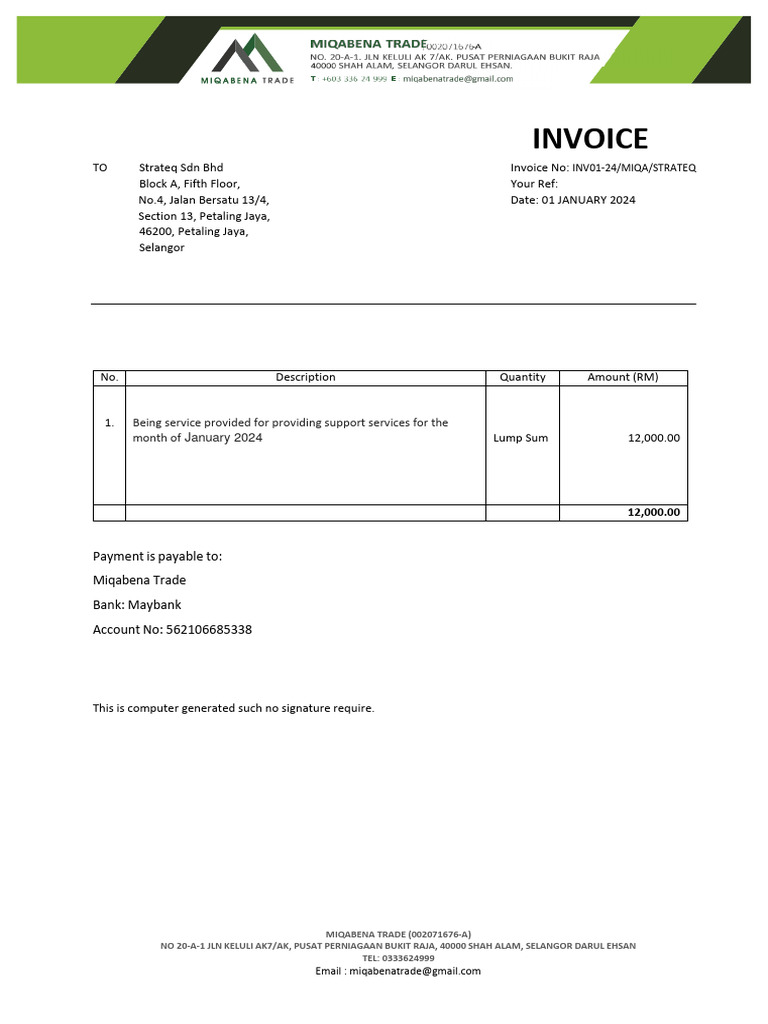 Invoice for January 2024 Services | PDF