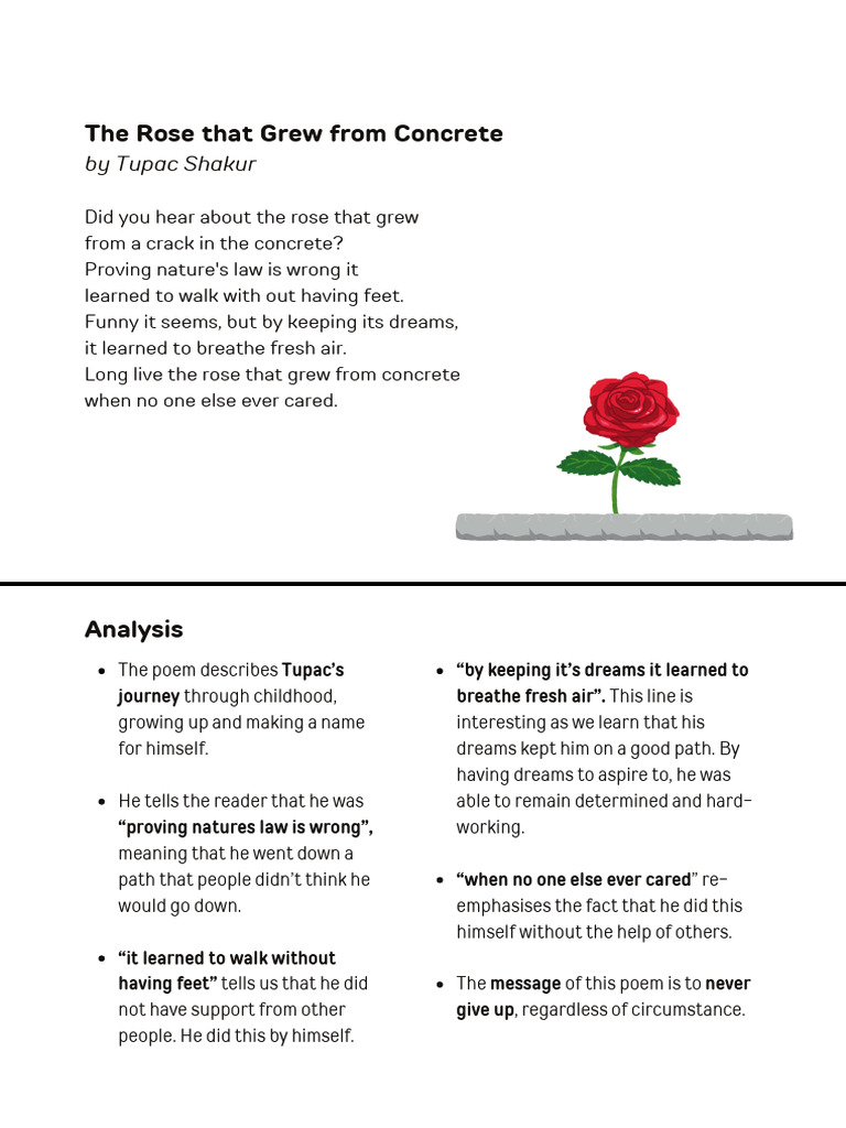 The Rose That Grew From Concrete | PDF