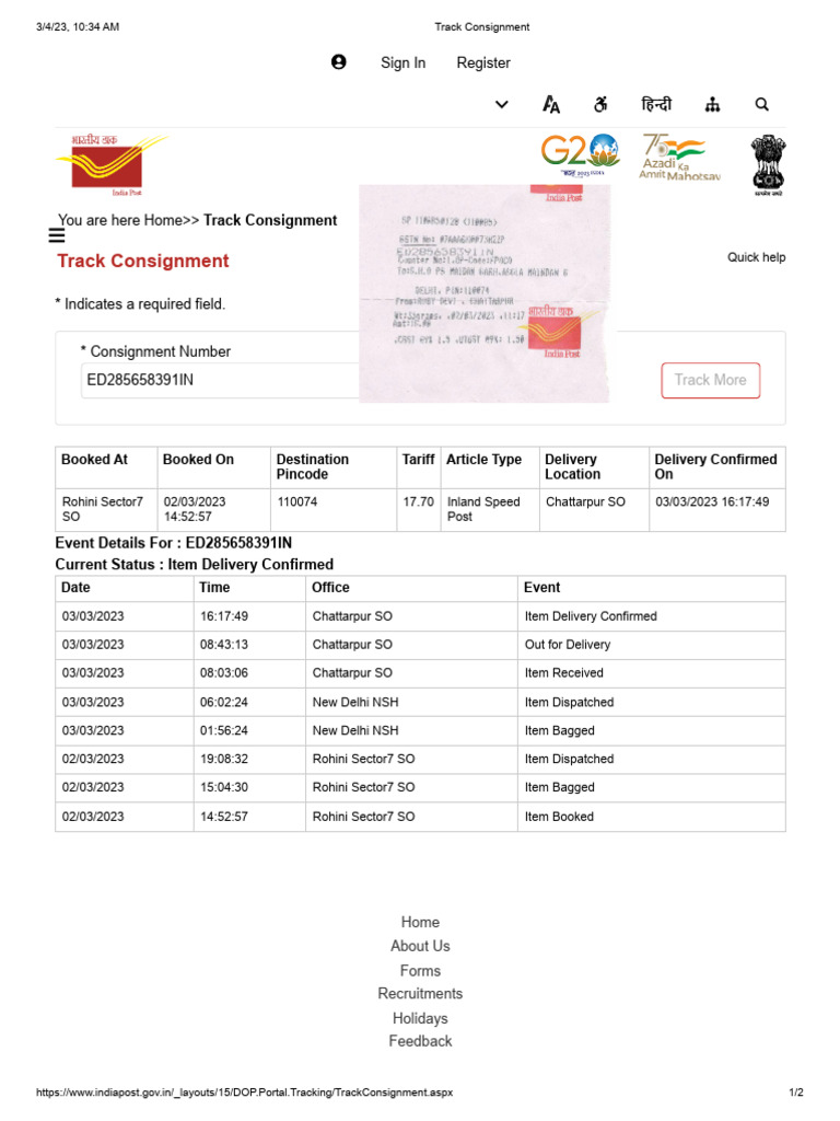 Sho Delivery Report | PDF
