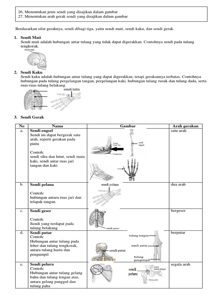 Menentukan Jenis Sendi Yang Disajikan Dalam Gambar | PDF