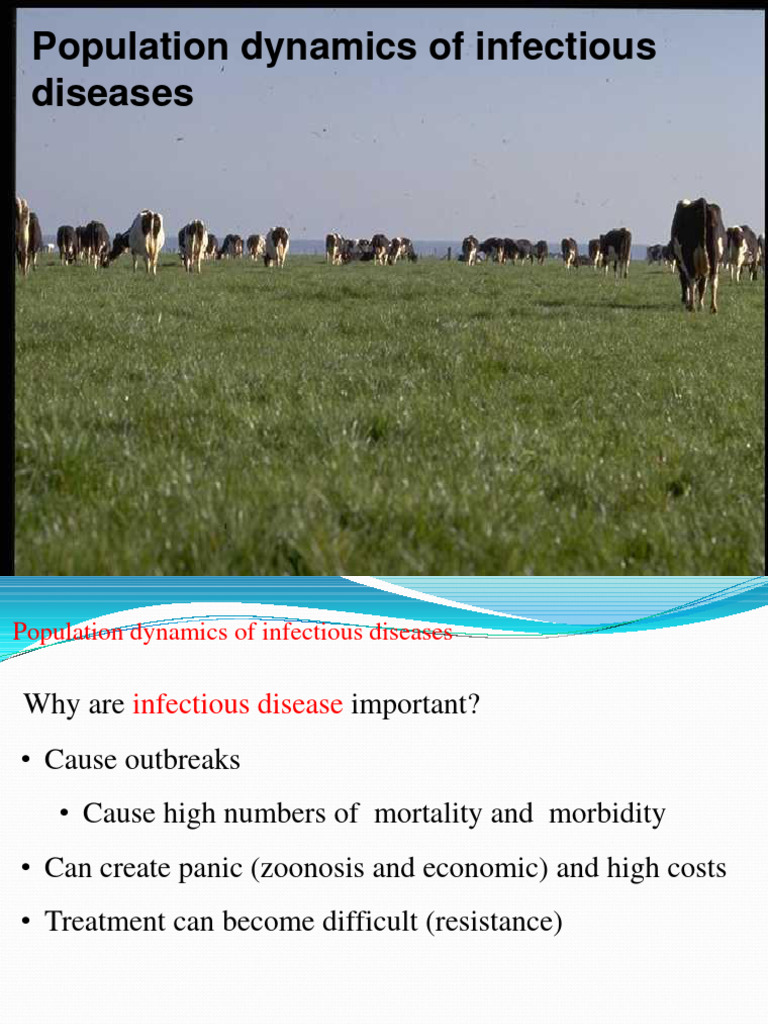 Infectious Disease Modeling | PDF | Infection | Stochastic
