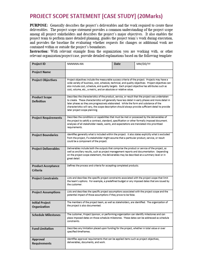 Project Scope Statement Case Study | PDF | Project Management | Business
