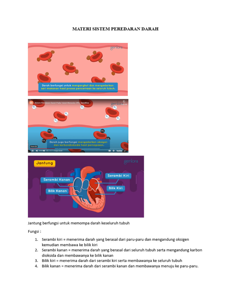 Materi Sistem Peredaran Darah | PDF