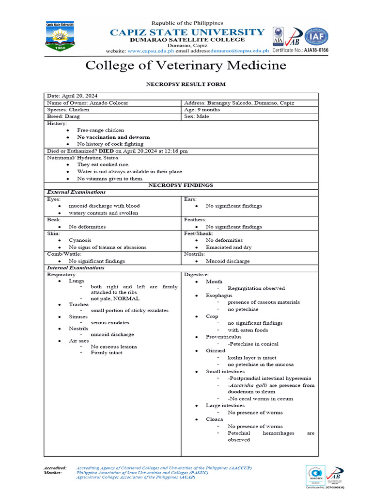 Necropsy Report: Chicken Ascaridiasis | PDF | Gastrointestinal Tract ...