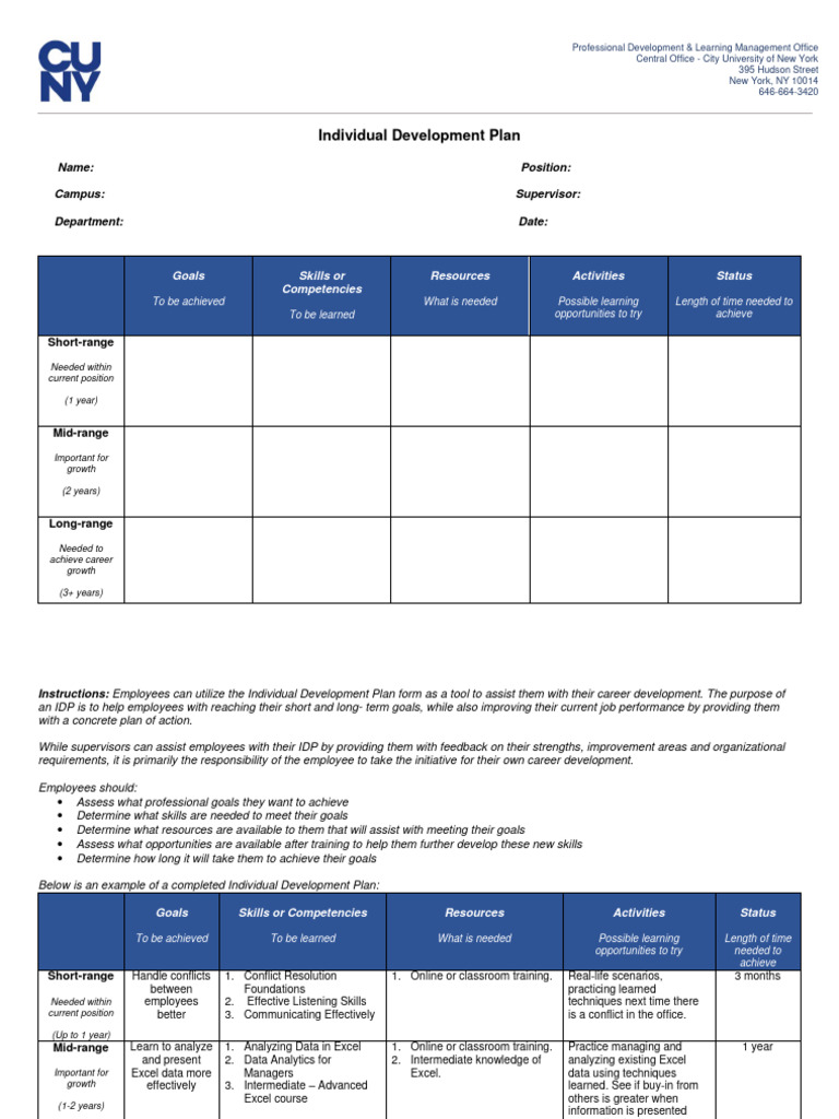 PDLM IDP Fillable Form 08.15.19 | PDF | Goal | Human Communication
