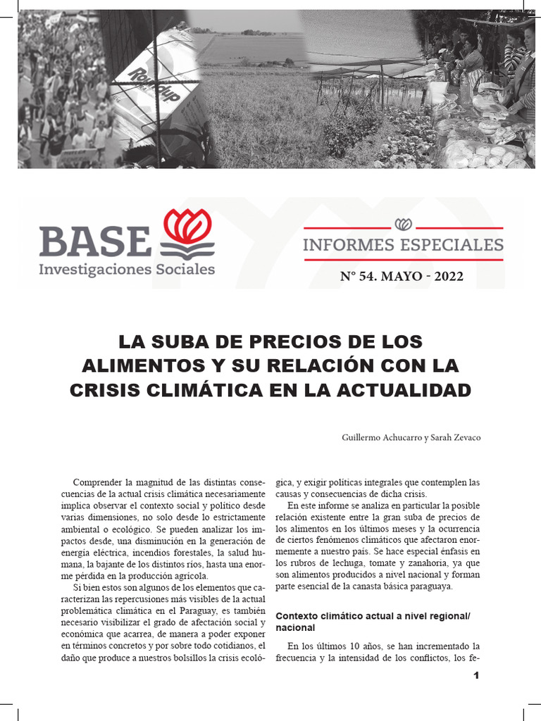 Informe Especial 54 BASE 2 | PDF | Mercado (economía) | Agricultura