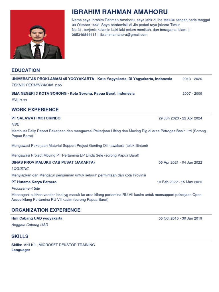 ibrahim r a cv | PDF