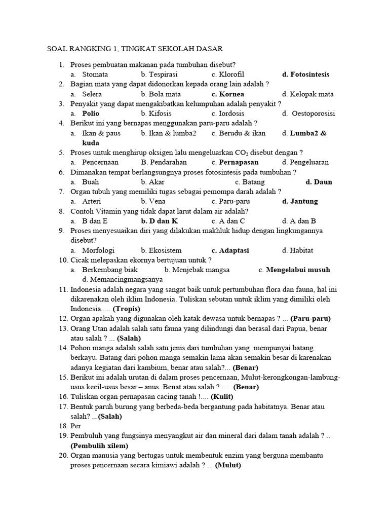 Soal Rangking 1 | PDF