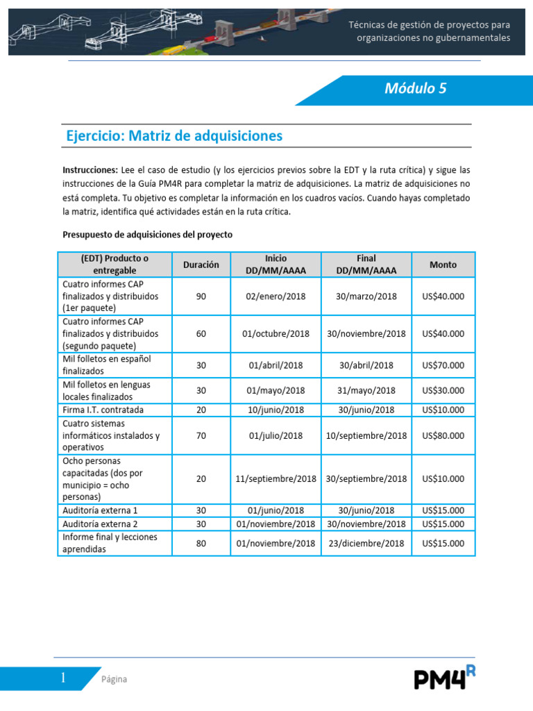 Module 5 Procurement Matrix Exercise Instructions | PDF | Negocios