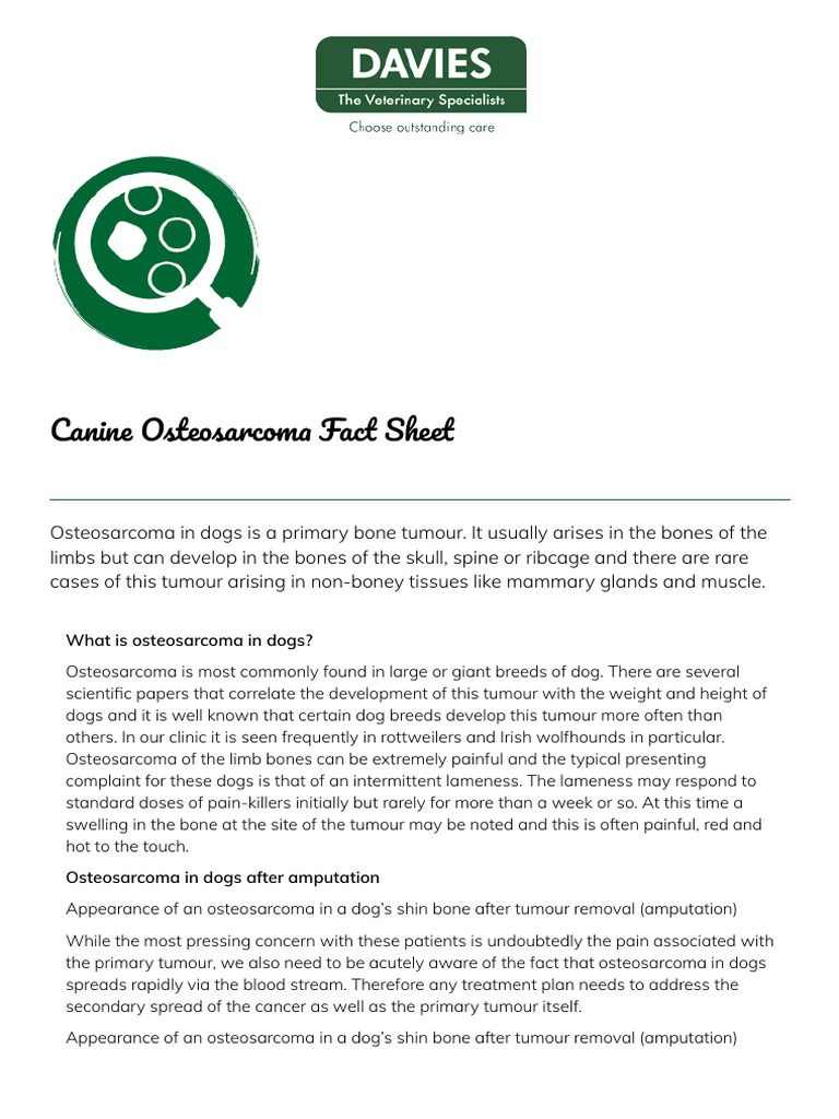 Canine-Osteosarcoma-Fact-Sheet | PDF | Radiation Therapy | Oncology