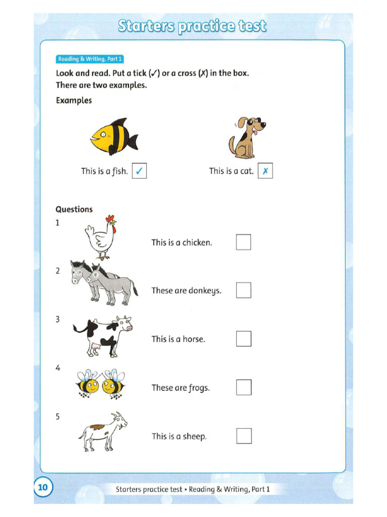 Starters Authentic Test Preparation | PDF