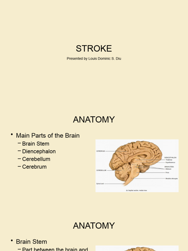 STROKE Case Pre | Download Free PDF | Brainstem | Cerebellum