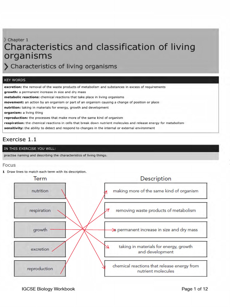 Characteristics and Classification of Living Organisms | PDF ...