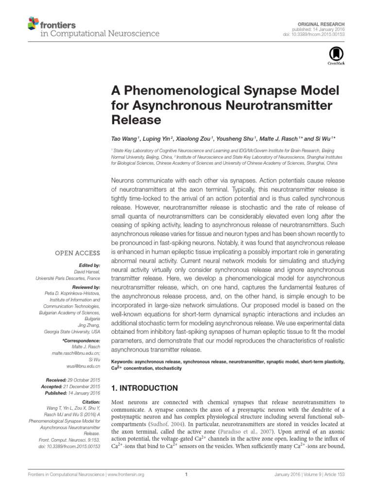 A Phenomenological Synapse Model For Asynchronous Neurotransmitter ...