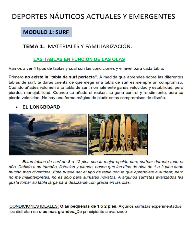 Seguridad y Prioridades en el Surf | PDF
