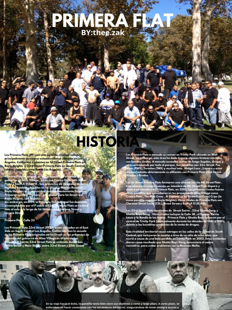 Historia de la Pandilla Primera Flats | PDF | Ciencias sociales