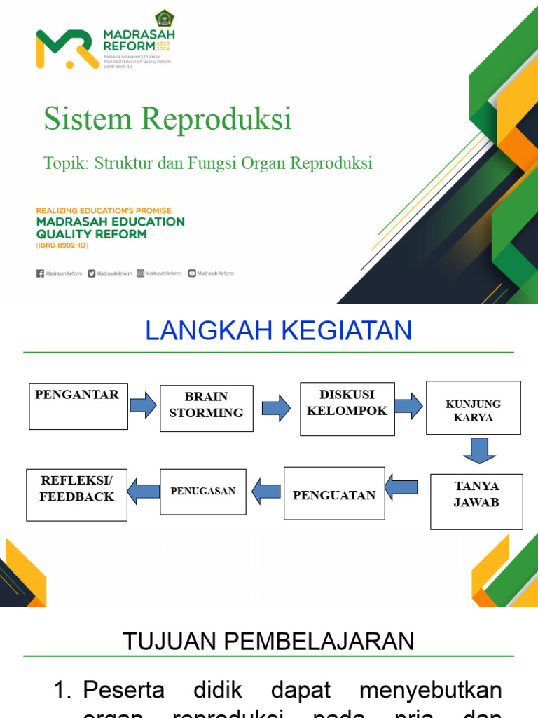 Media Pembelajaran Struktur Organ Sistem Reproduksi | PDF