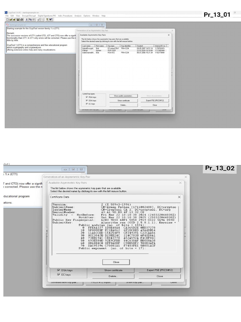 NIS MAIN Output | PDF