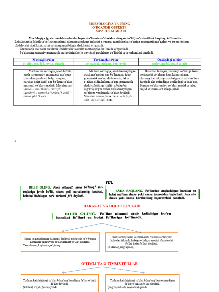 Morfologiya Haqida Ma'lumot | PDF