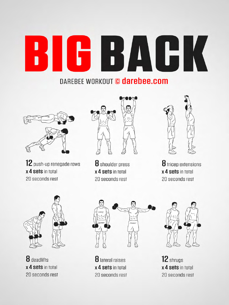 Big Back Workout Pdf