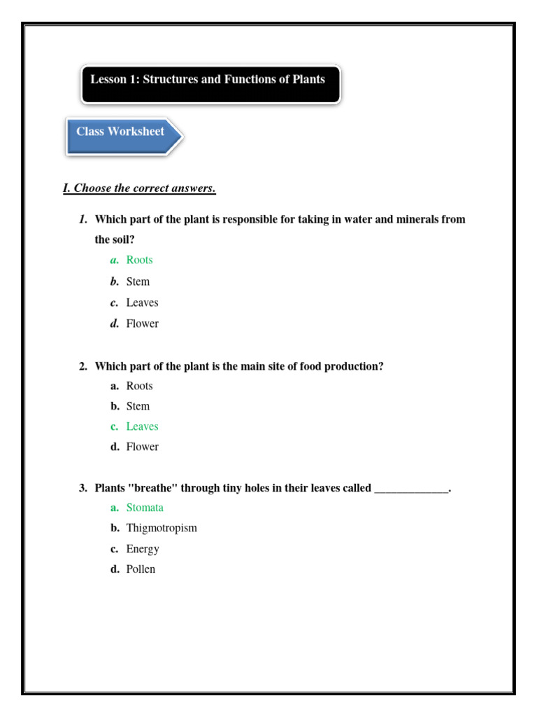 Unit 4 Lesson 1 Structure and Function of Plant | PDF | Plants | Seed