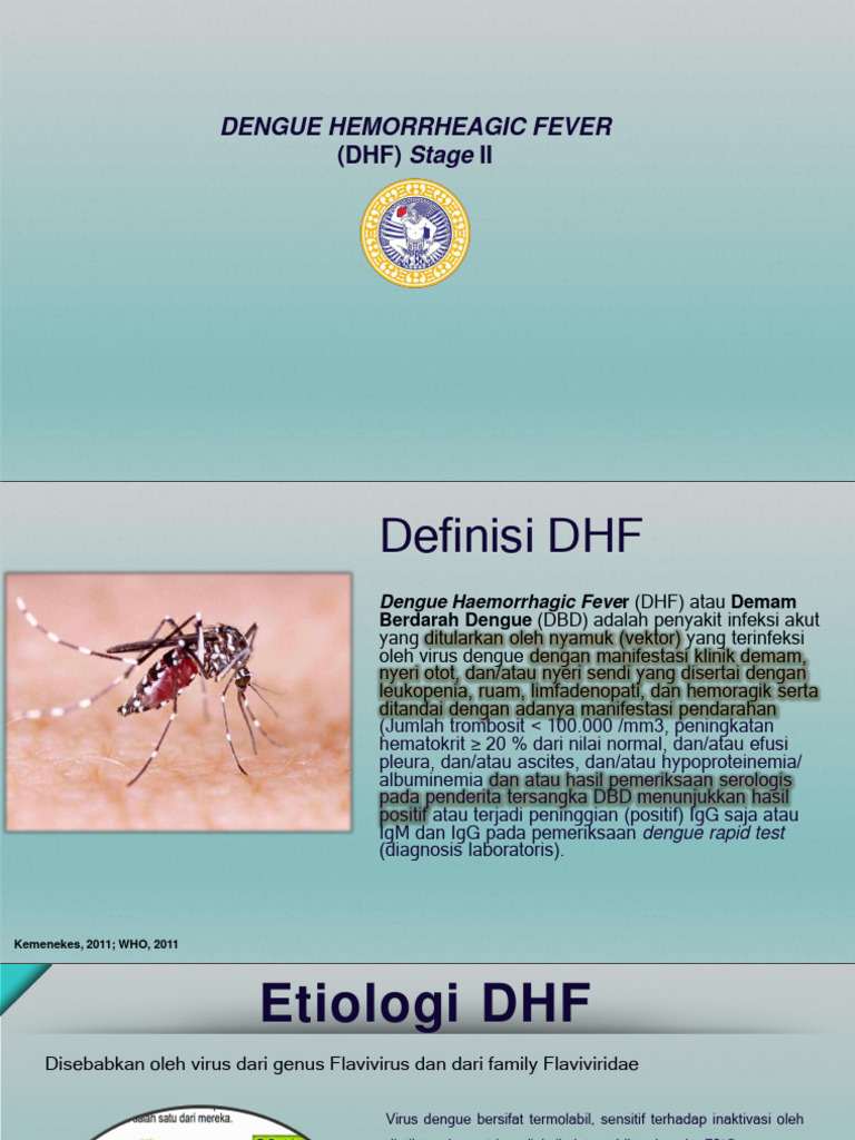 Panduan Lengkap Dengue Hemorrhagic Fever | PDF