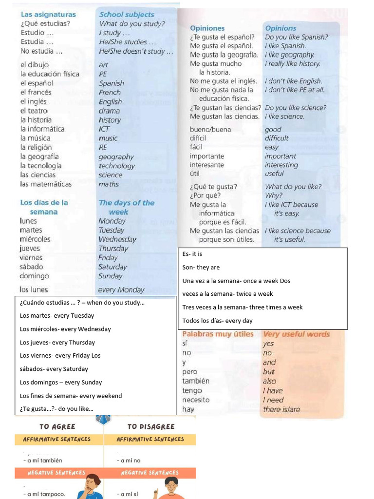 Revision Material Year 7 Term 2 | PDF