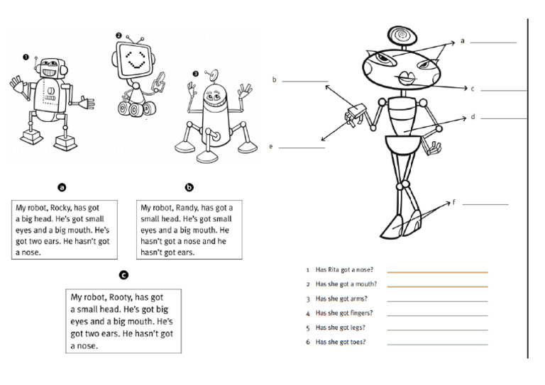 Parts of the body 4to Coll | PDF