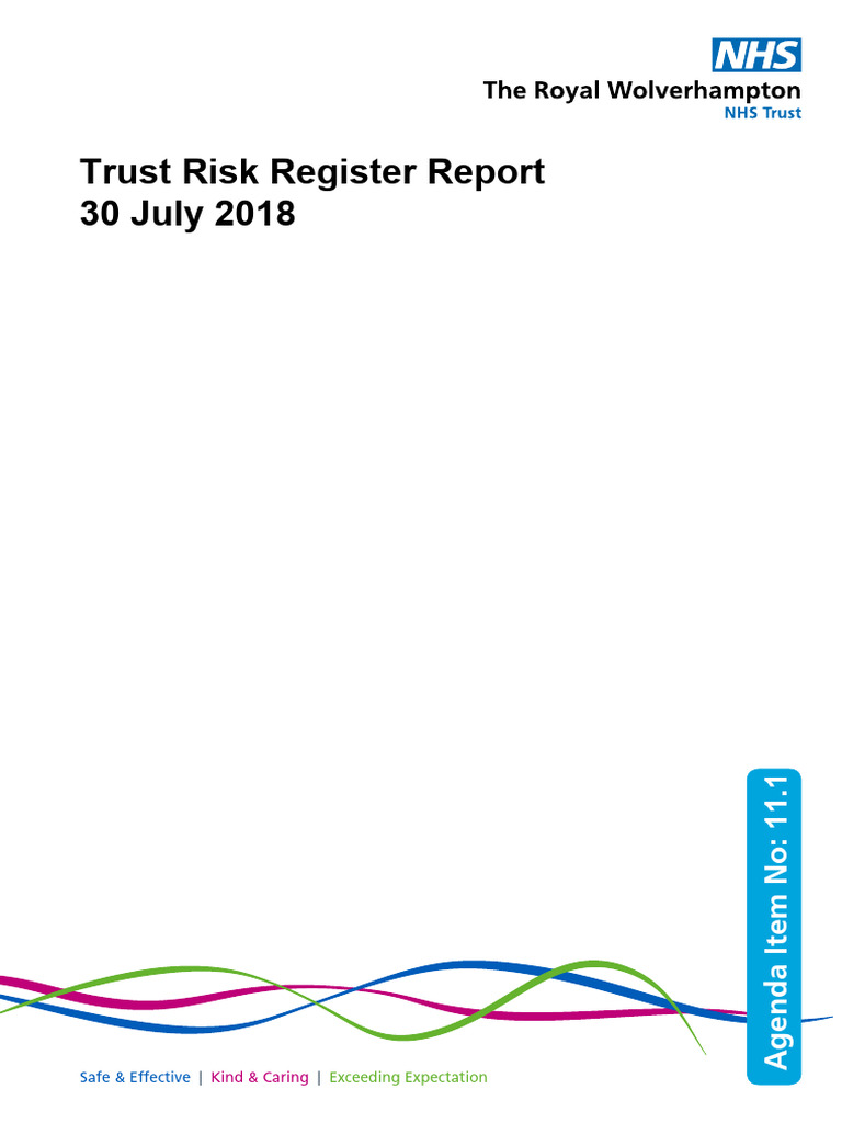 FS 11 1 Trust Risk Register Report Jul 18 TB | PDF | Risk | Medicine