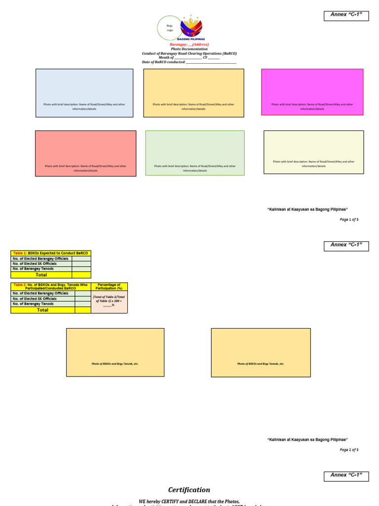 Annex C1 - Photo Documentation, Elected brgy&SK Officials, & Certification | PDF