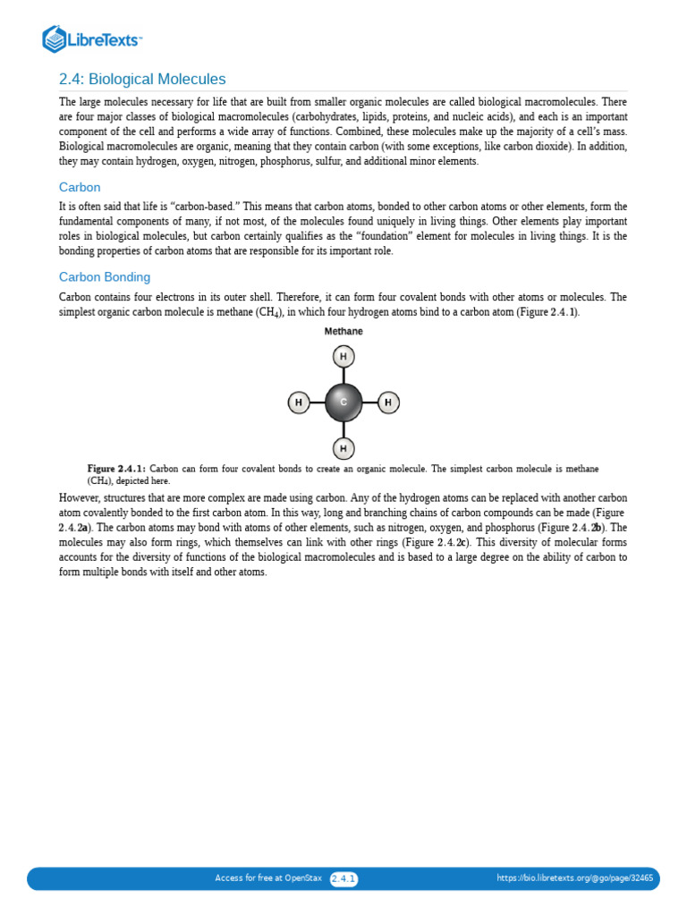 Biology Basics: Macromolecules | PDF | Fatty Acid | Lipid