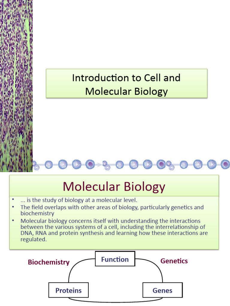 Introduction to Cell Biology | PDF | Cell (Biology) | Cell Membrane