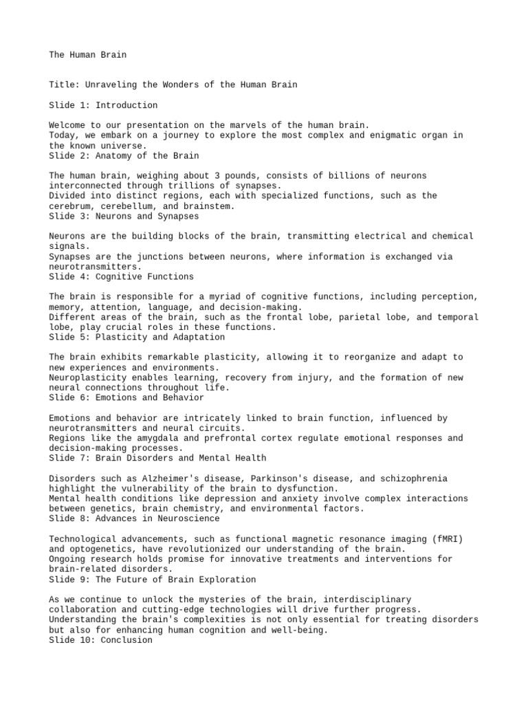 The Human Brain | PDF | Human Brain | Brain