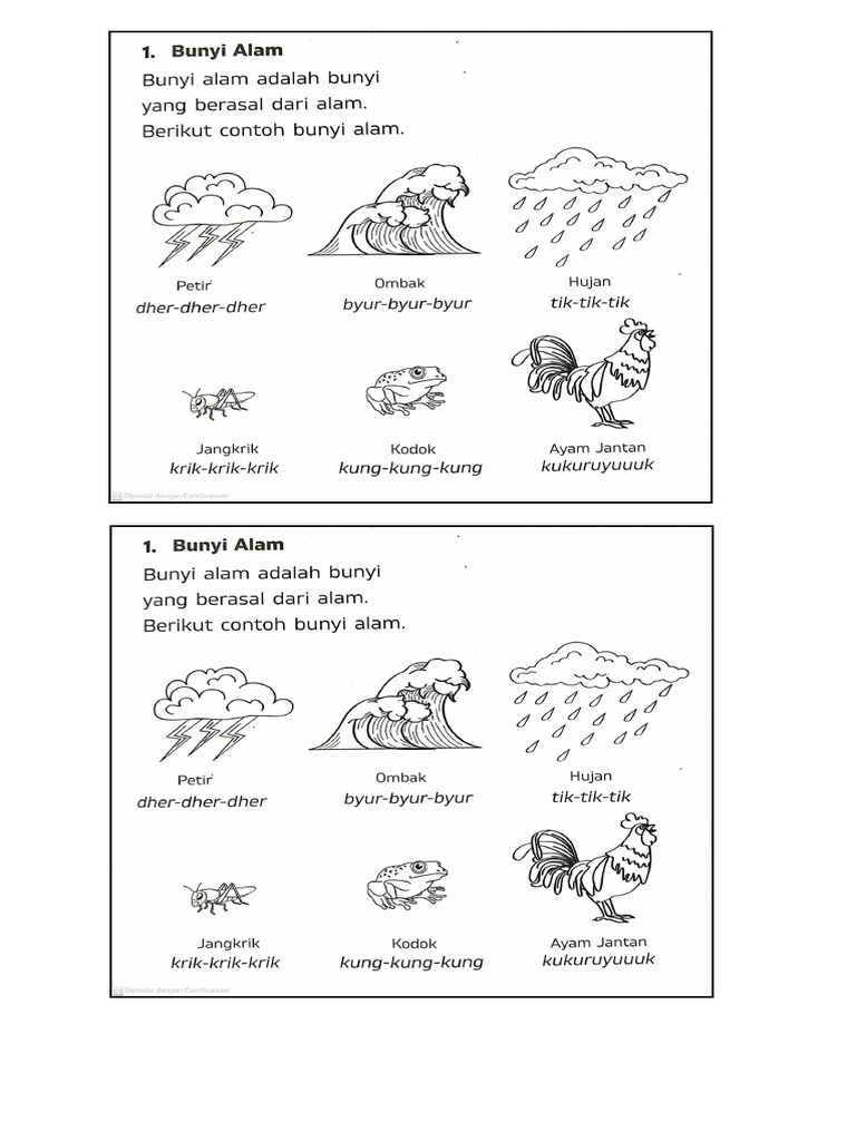 Bunyi Alam | PDF