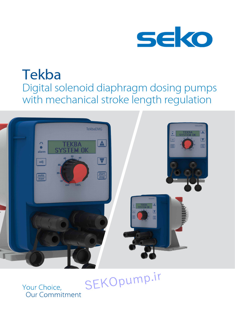 Tekba Series Dosing Pumps Overview | PDF | Pump | Valve
