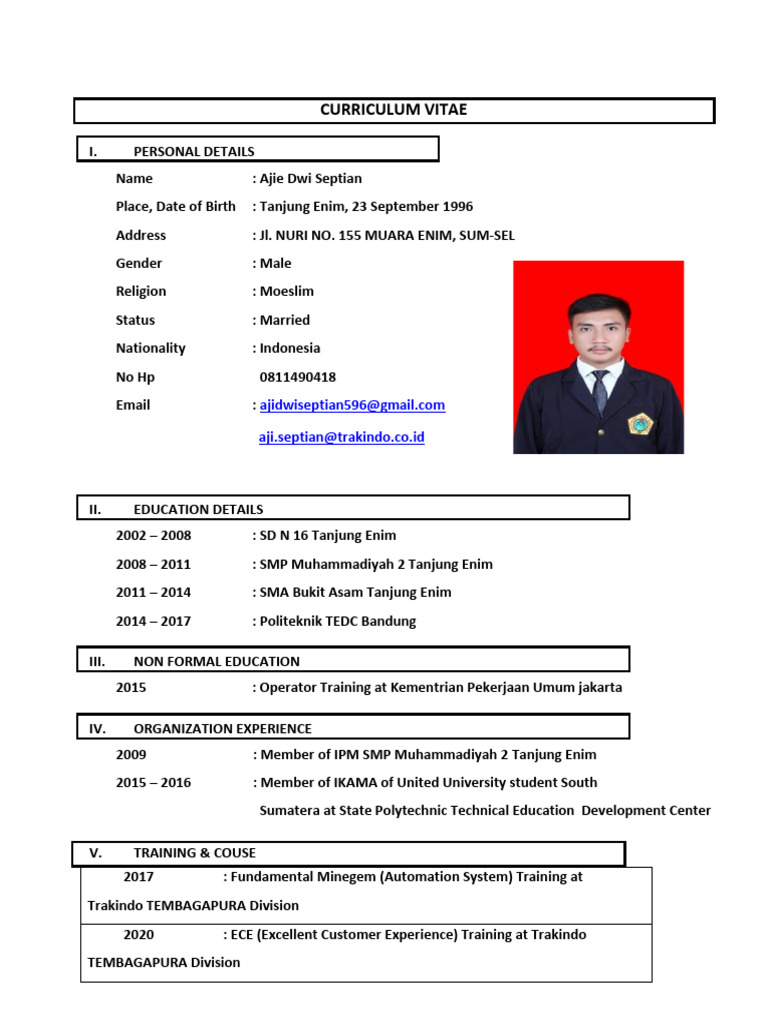 CV Ajie Dwi Septian | PDF | Computing | Engineering