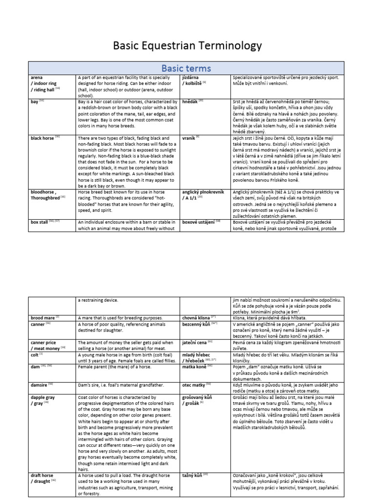 Glossary of Equestrian Terms | PDF